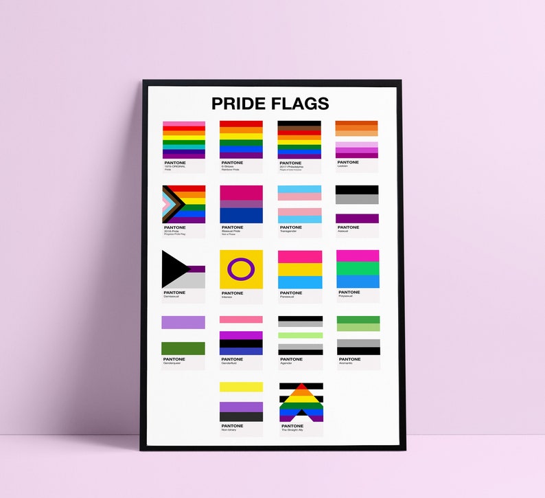 LGBT Flag Pride Flag Guide to LGBT Flags LGBT Prints - Etsy
