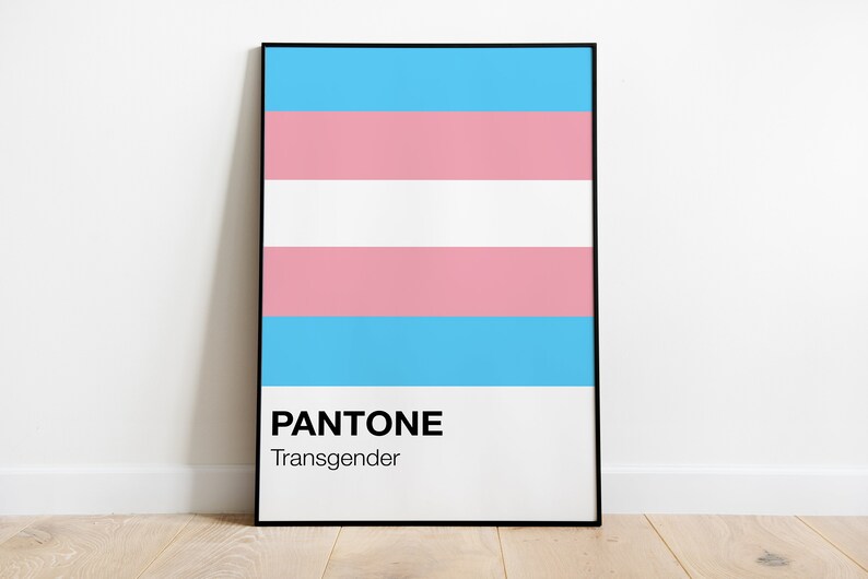 Transgender Print Transgender Pride Flag LGBT Pride Flag | Etsy