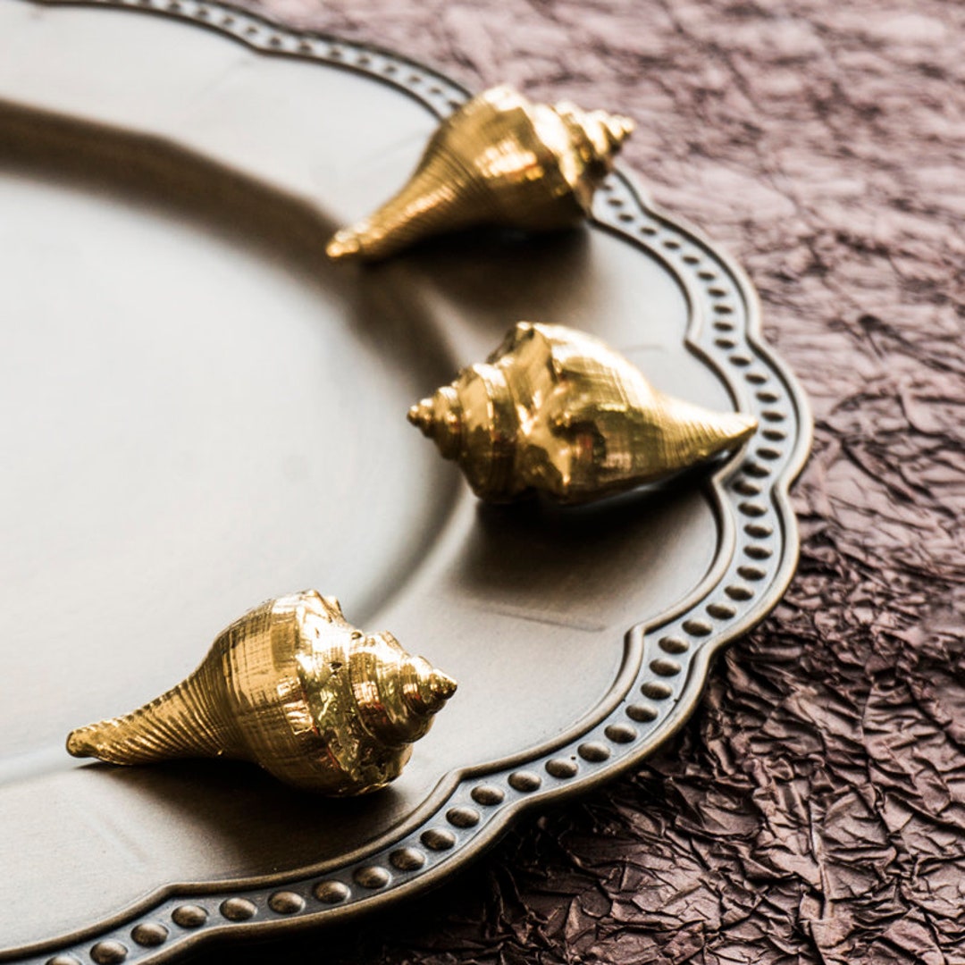 Sea Snail Brass Knobs Cupboard Drawer Pulls Wardrobe Cabinet Handles ...