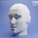 3d Human Face Papercraft Trophy. Origami Full Face Abstract Sculpture ...