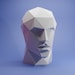 3d Human Face Papercraft. Geometric Origami Full Face Abstract ...