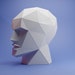 3d Human Face Papercraft. Geometric Origami Full Face Abstract ...