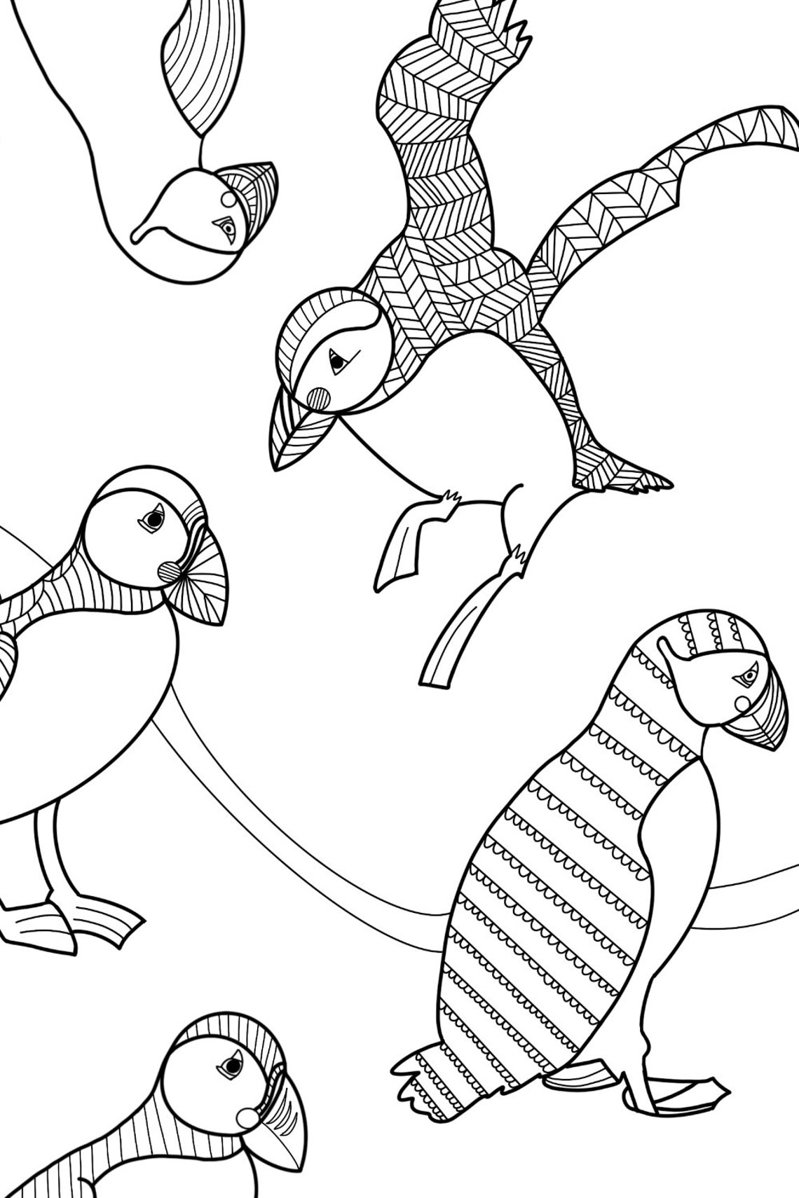 Puffins Coloring Sheet. Coloring Page Birds Doodle. Iceland | Etsy