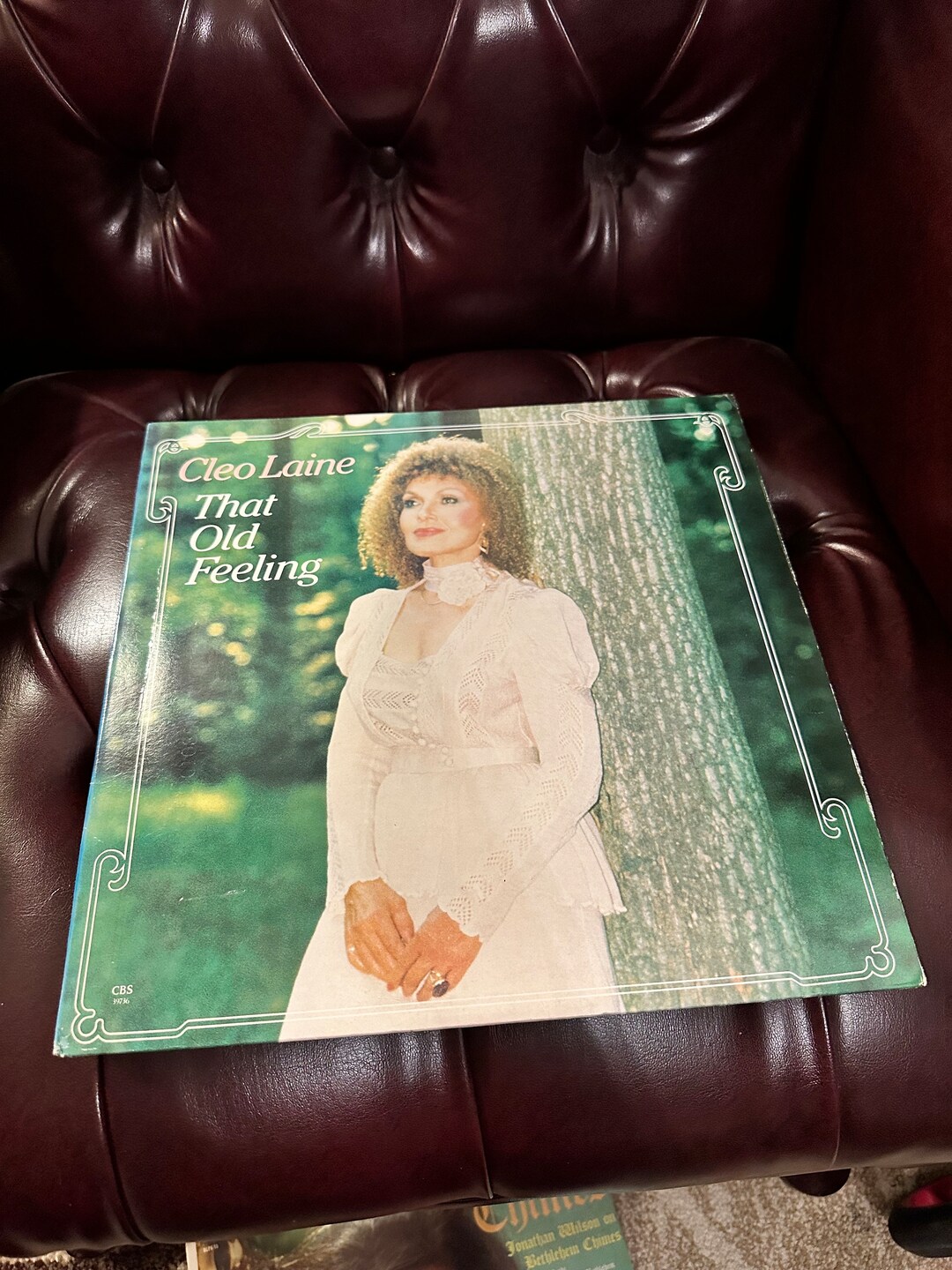 Cleo Laine - “that Old Feeling” Vinyl Record (1987) - Etsy
