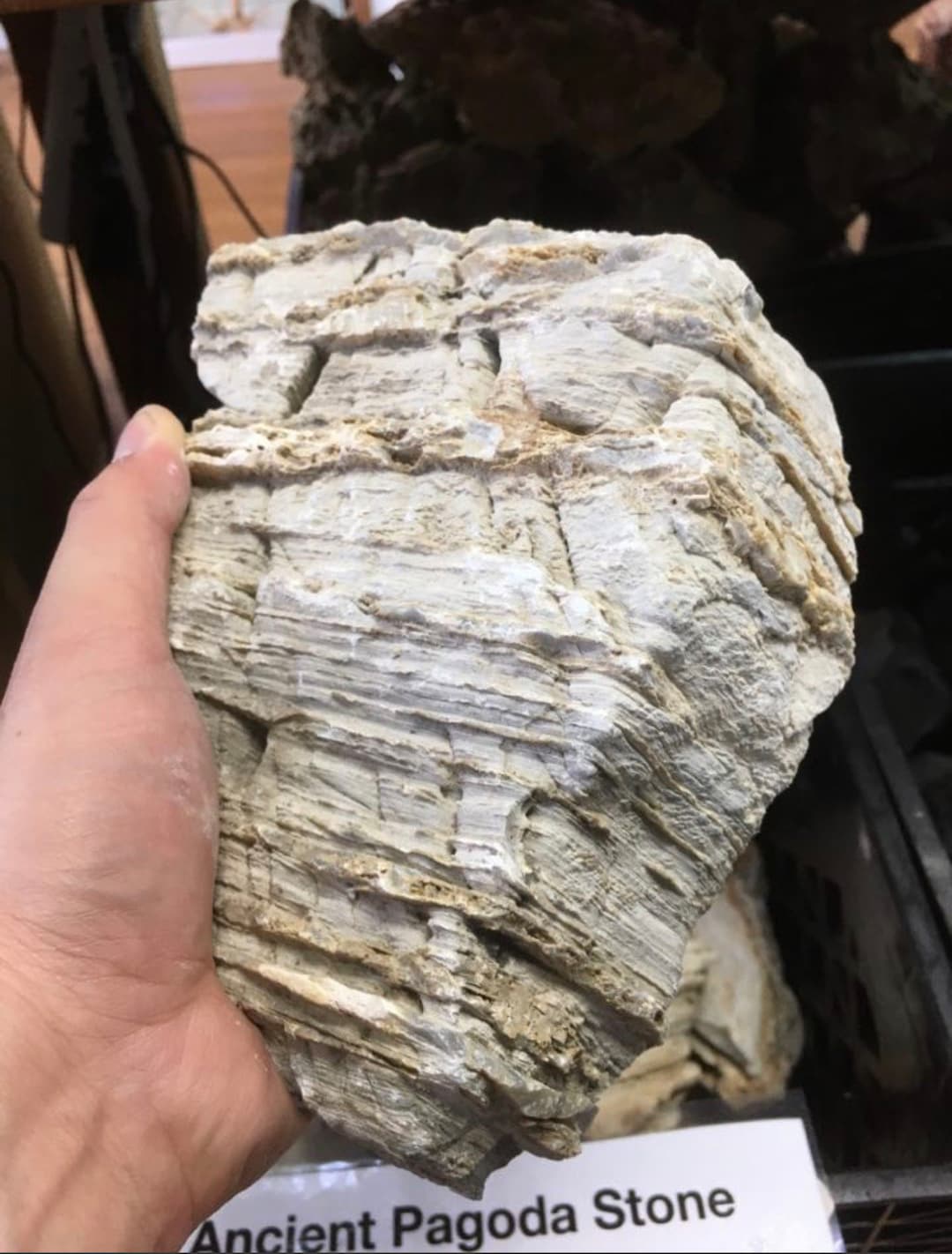 Ancient Pagoda Stone for Aquascaping - Unique, Natural Stone for ...