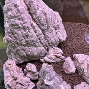 Elephant Skin Stone for Aquascaping - Natural Textured Aquarium Rocks ...
