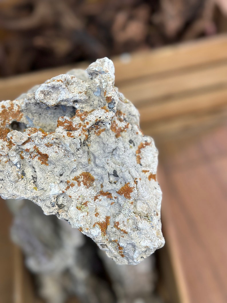 Authentic Utah Lace Stone for Aquascaping & Decor - Aquascape Stone ...