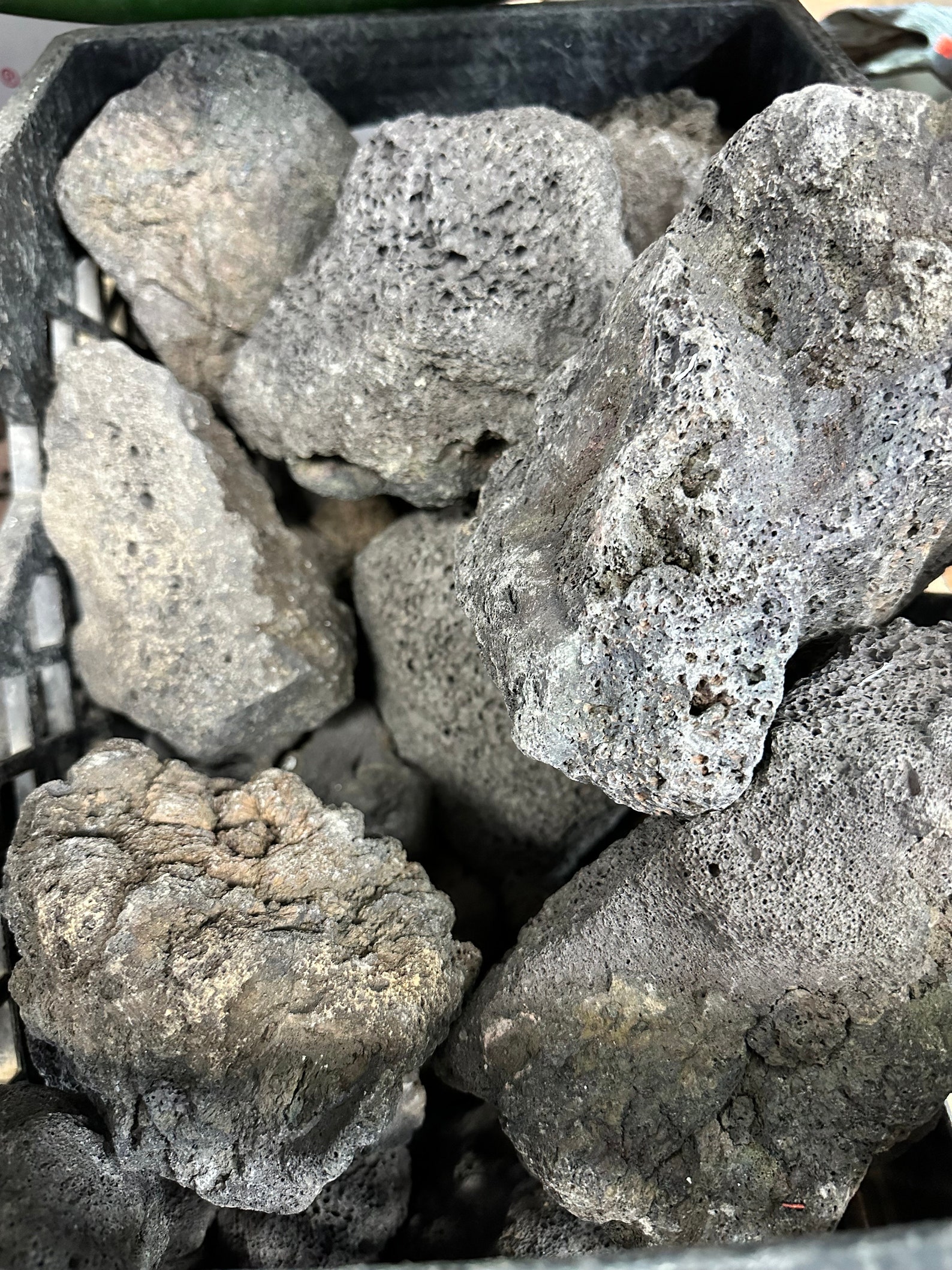 Premium Icelandic Lava Stone for Aquascaping - Natural Aquarium Decor ...