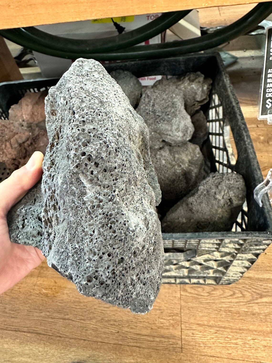 Premium Icelandic Lava Stone for Aquascaping - Natural Aquarium Decor ...