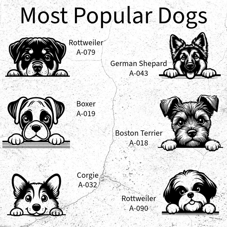 Personalized Pet Tile Display | - Etsy