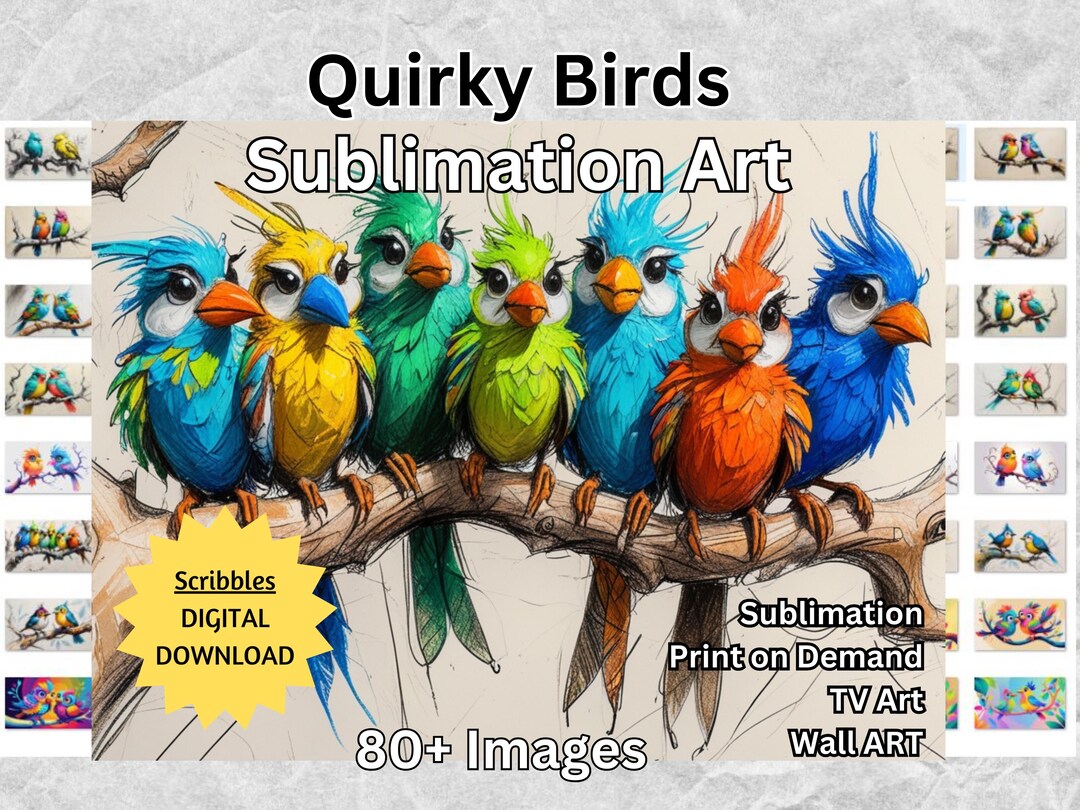 Quirky Colorful Birds Files for Sublimation, Cricut - Sublimation Png's ...