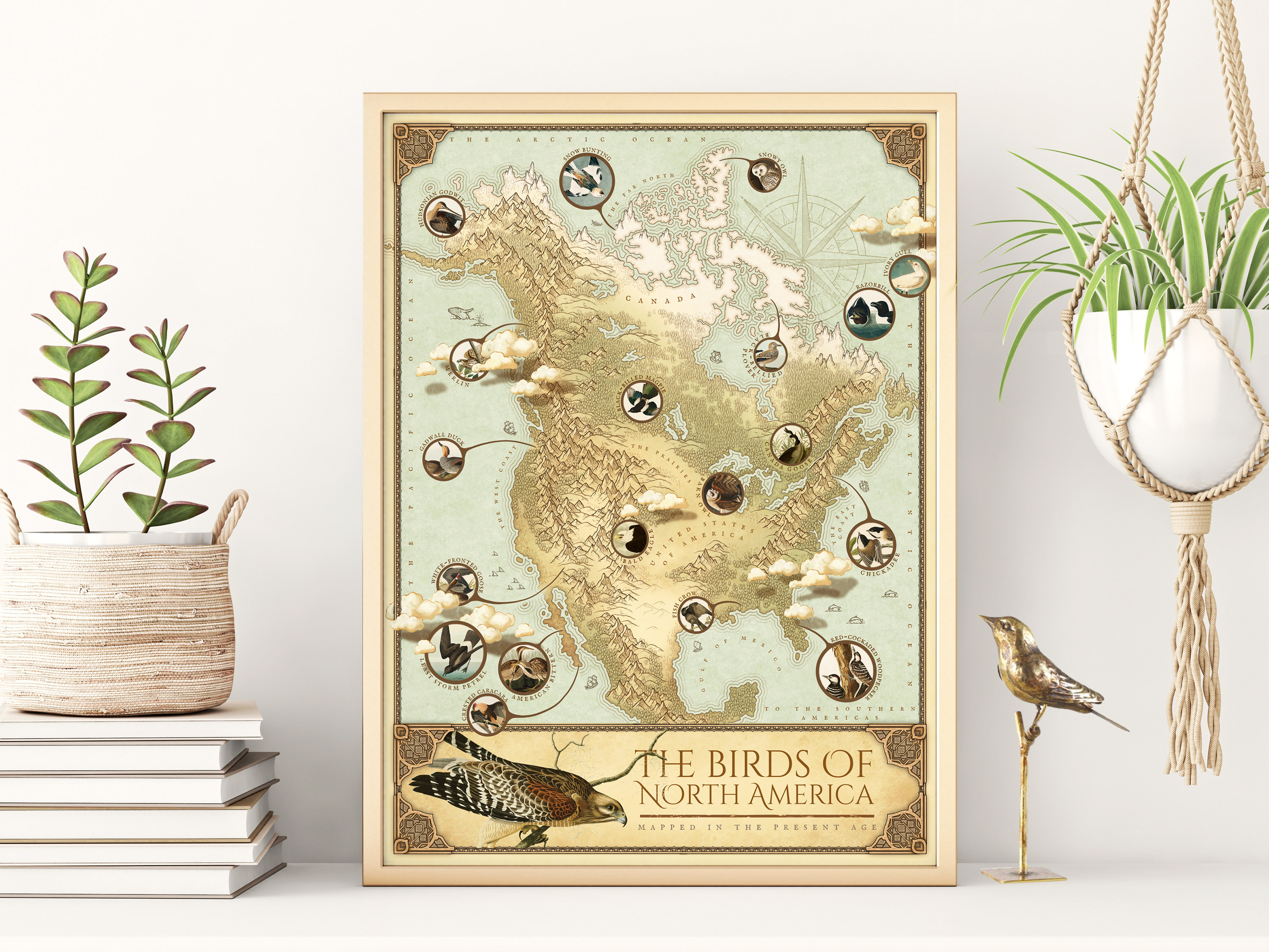 Birds of North America Poster - Ornithology Map, Canada USA Bird Print ...