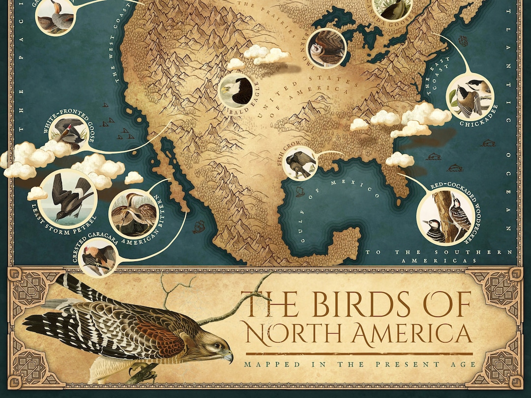 Birds of North America Map - Ornithology Print, Canada USA Bird Poster ...