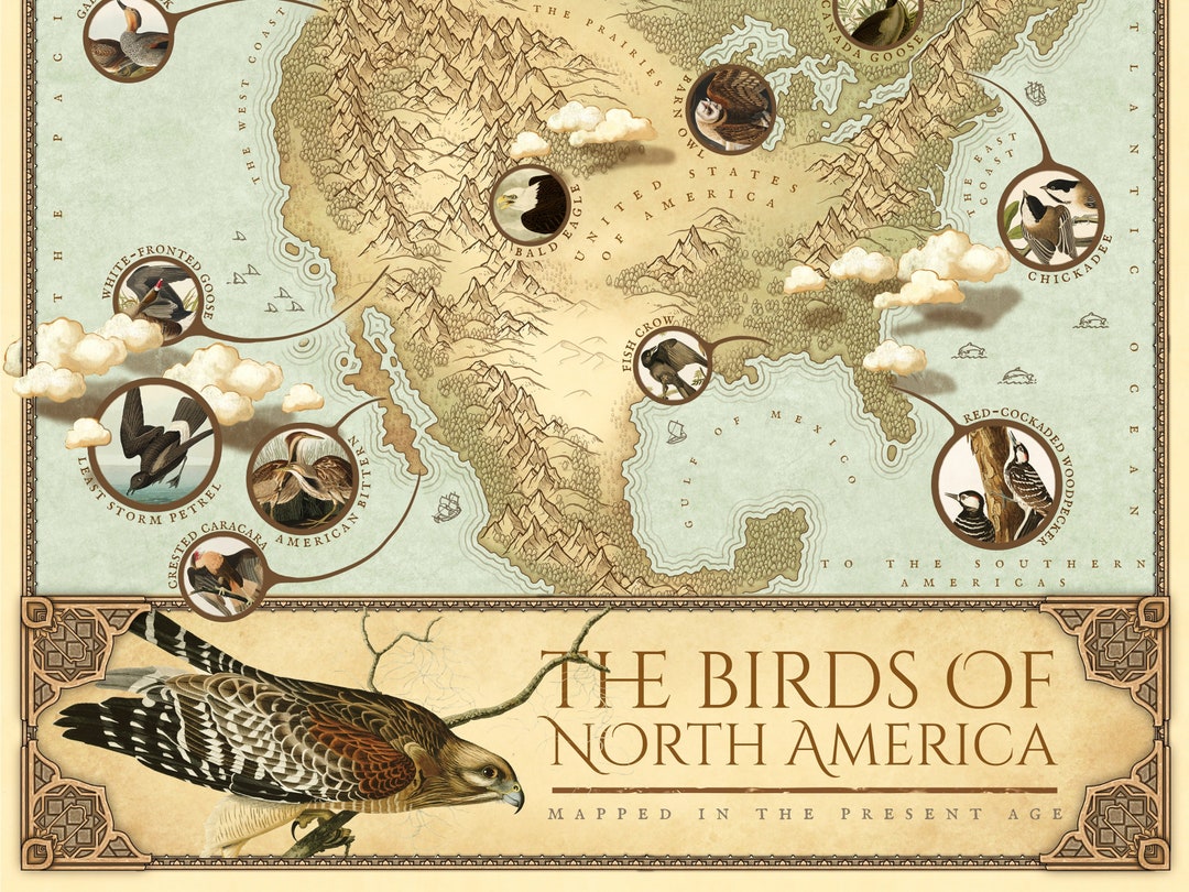 Birds of North America Poster - Ornithology Map, Canada USA Bird Print ...