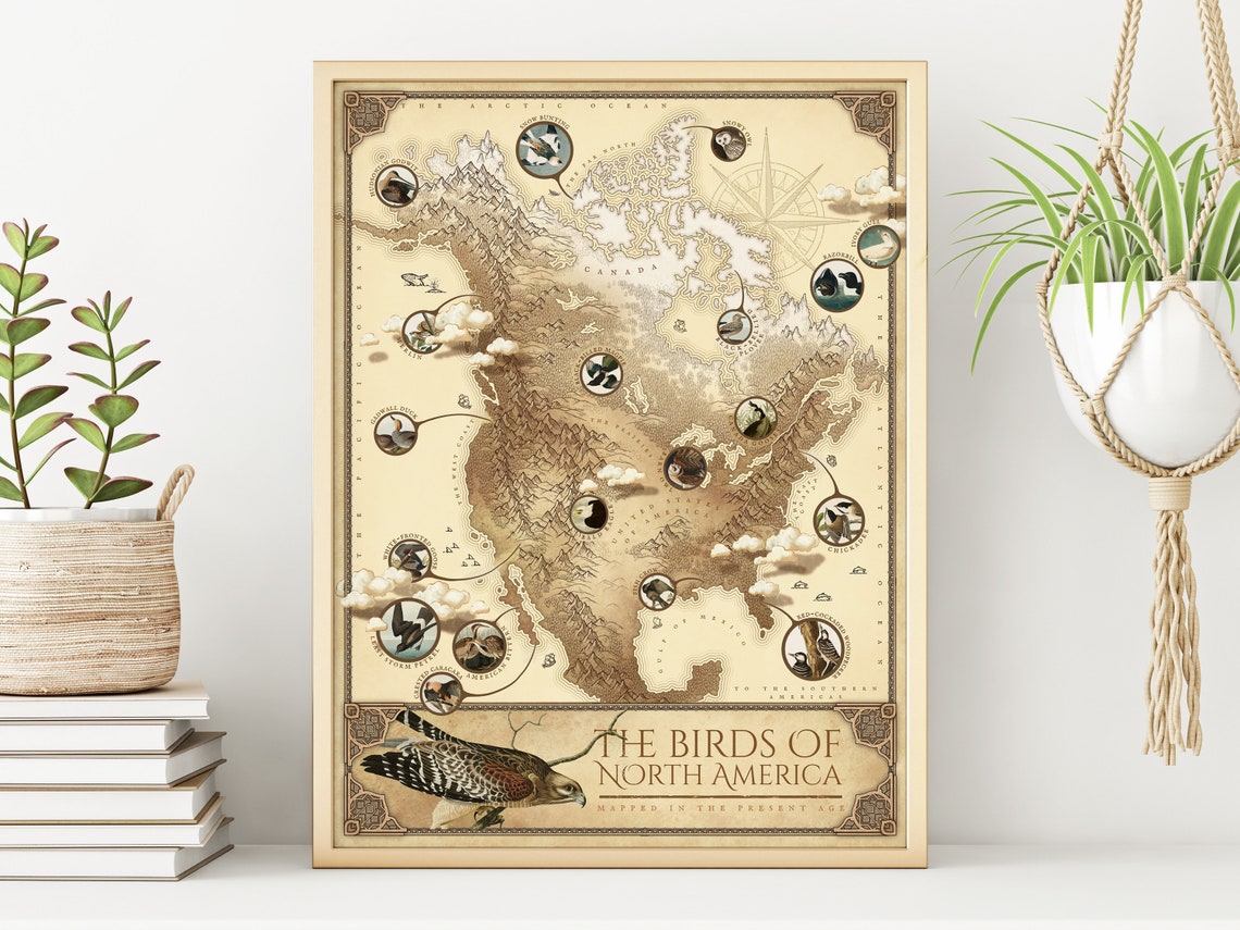 Birds of North America Map Ornithology Print Canada USA - Etsy