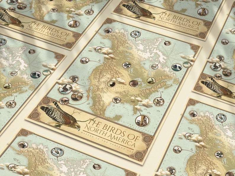 Birds of North America Poster - Ornithology Map, Canada USA Bird Print ...