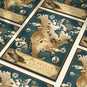 Birds of North America Map - Ornithology Print, Canada USA Bird Poster ...