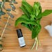 The Refresher | Mini Essential Oil Roll-on | 3 Ingredients Only | Small ...