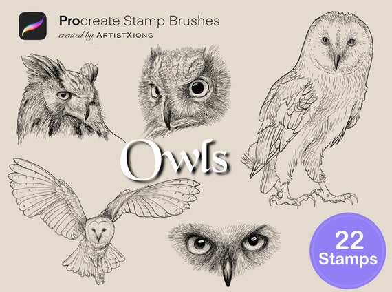 Realistic Owl Stamp Brushes for Procreate - Etsy