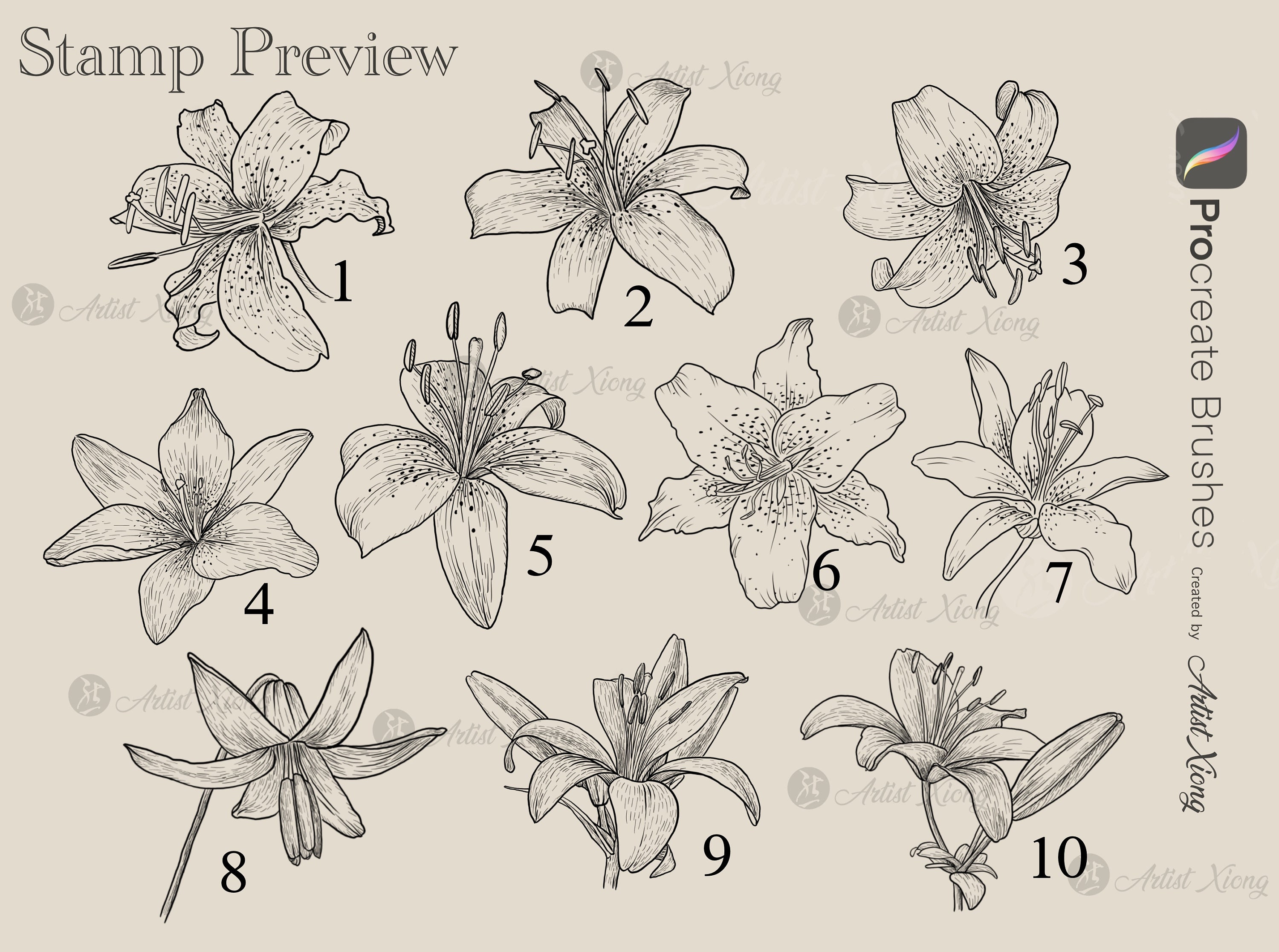Realistic Lily Flower Stamp Brushes for Procreate - Etsy