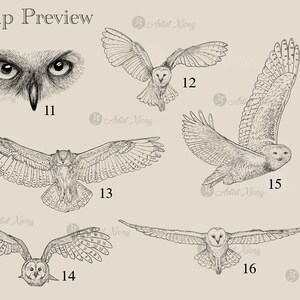 Realistic Owl Stamp Brushes for Procreate - Etsy
