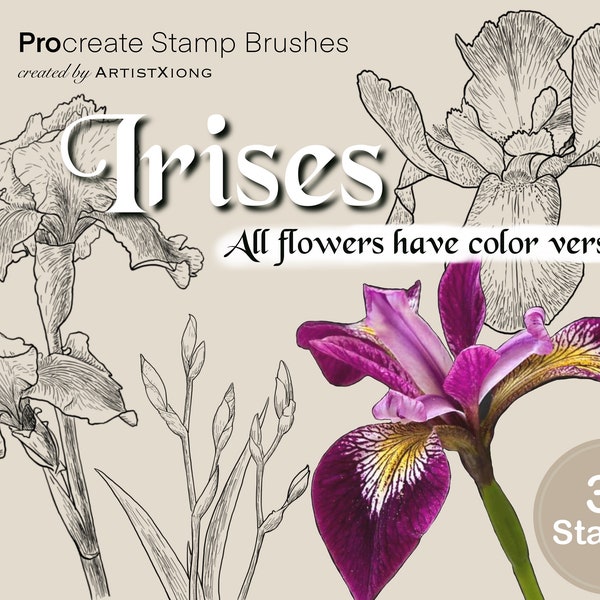 Iris Stamp - Etsy