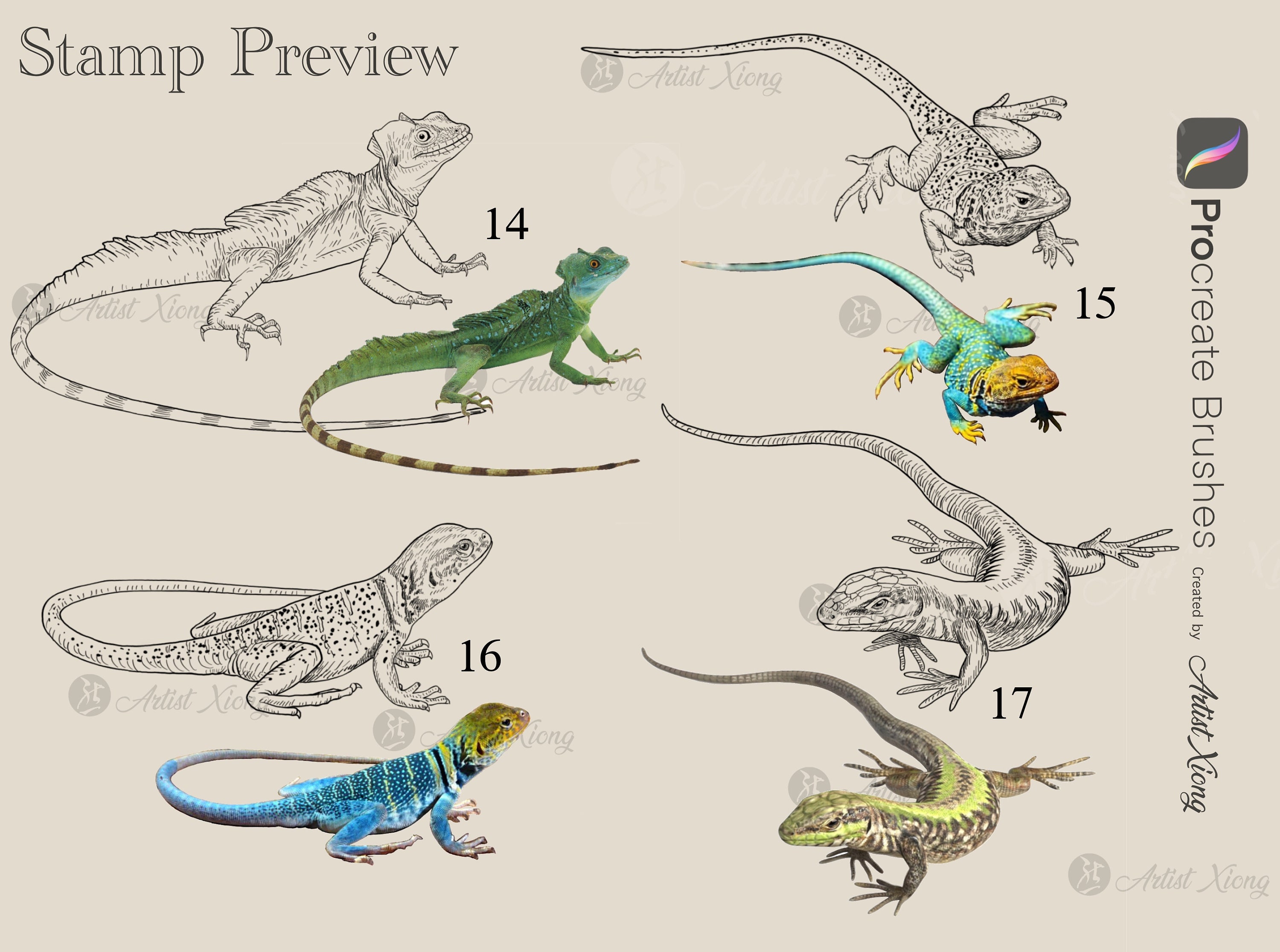 Realistic Lizard Stamp Brushes for Procreate - Etsy