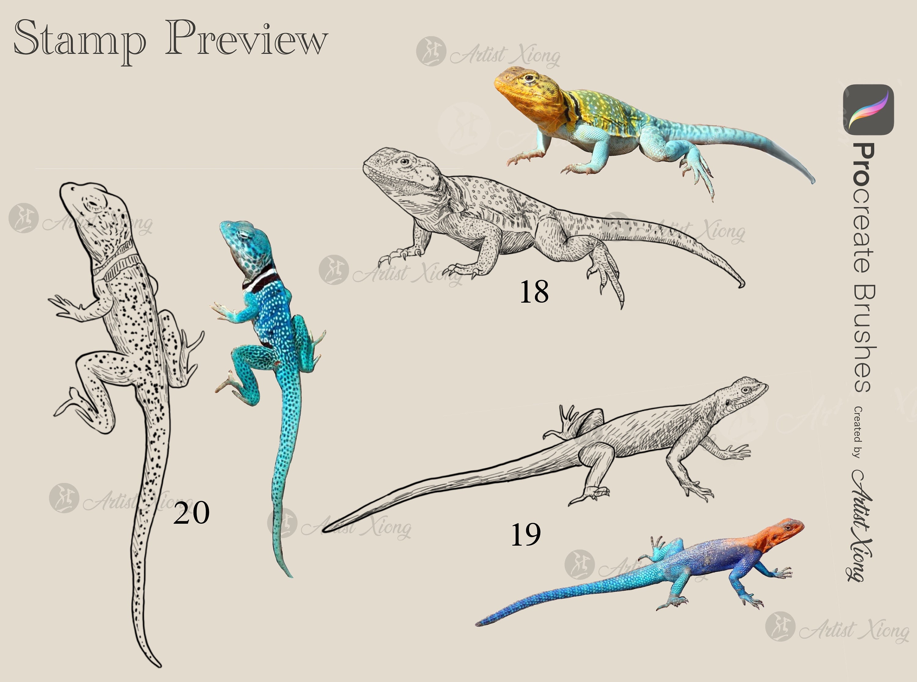 Realistic Lizard Stamp Brushes for Procreate - Etsy