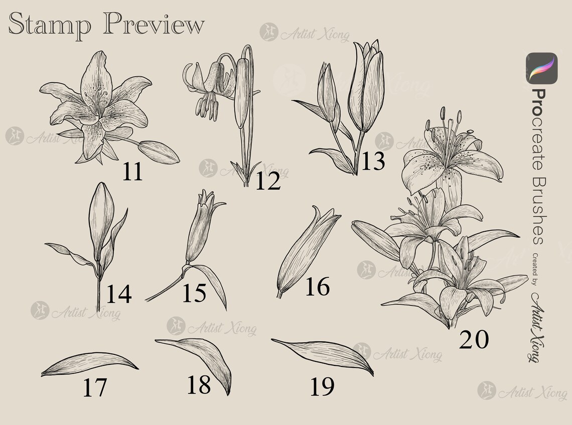 Realistic Lily Flower Stamp Brushes for Procreate - Etsy