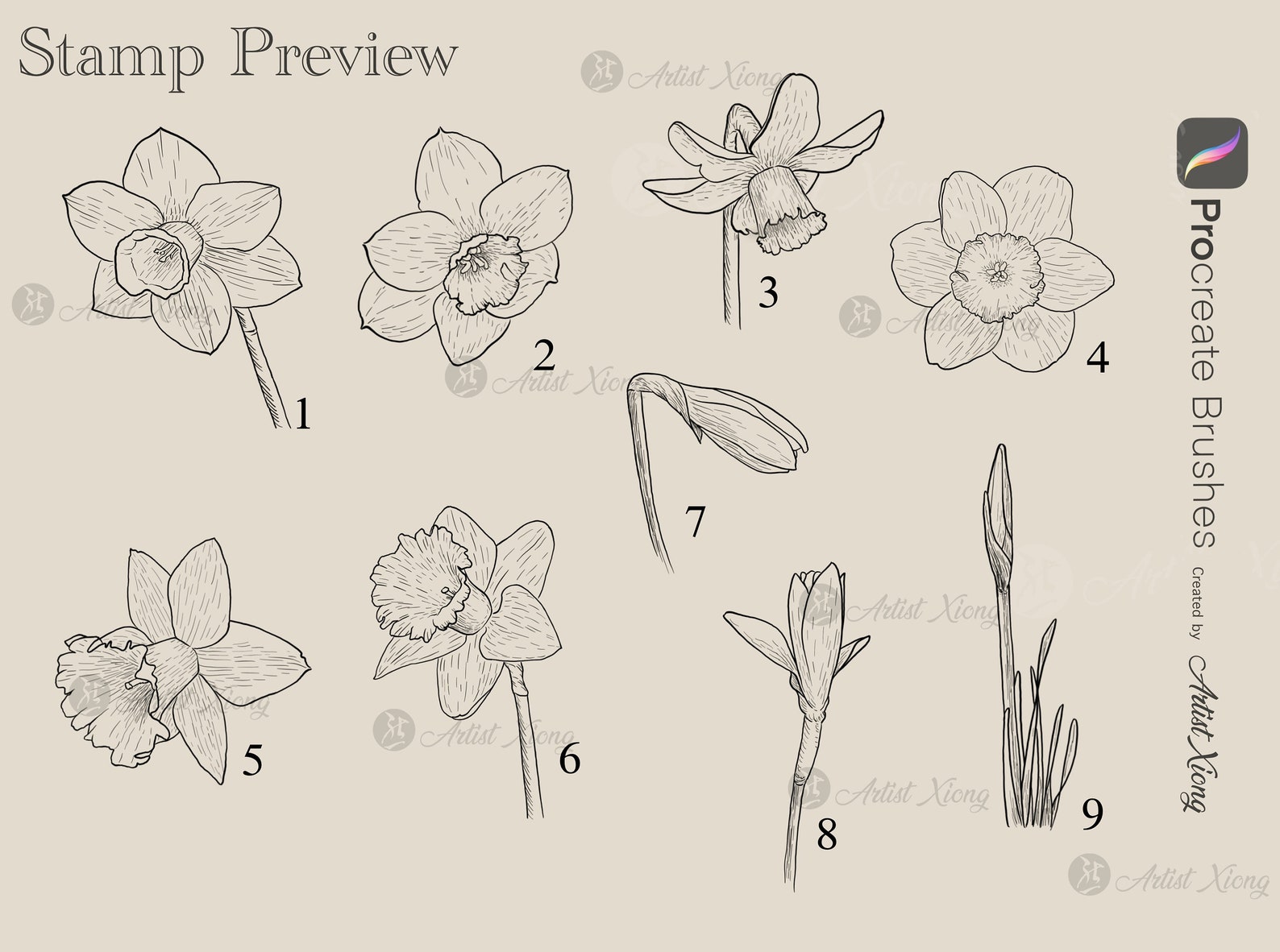 Realistic Daffodil/narcissus Stamp Brushes for Procreate - Etsy Canada
