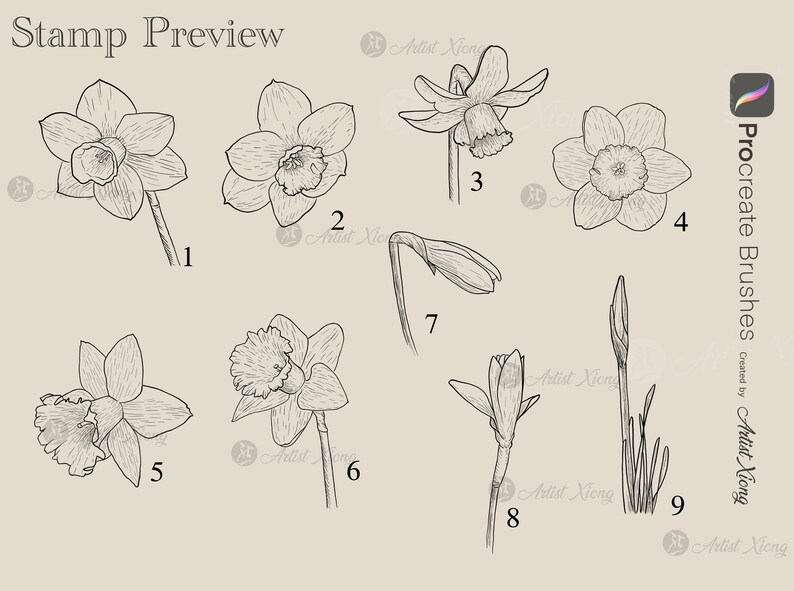 Realistic Daffodil/narcissus Stamp Brushes for Procreate - Etsy Canada
