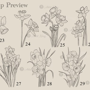 Realistic Daffodil/narcissus Stamp Brushes for Procreate - Etsy Canada