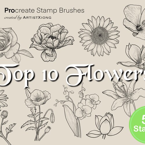 Realistic Daisy Stamp Brushes for Procreate - Etsy