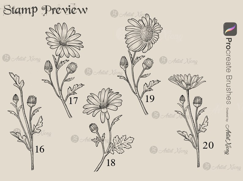 Realistic Daisy Stamp Brushes for Procreate - Etsy