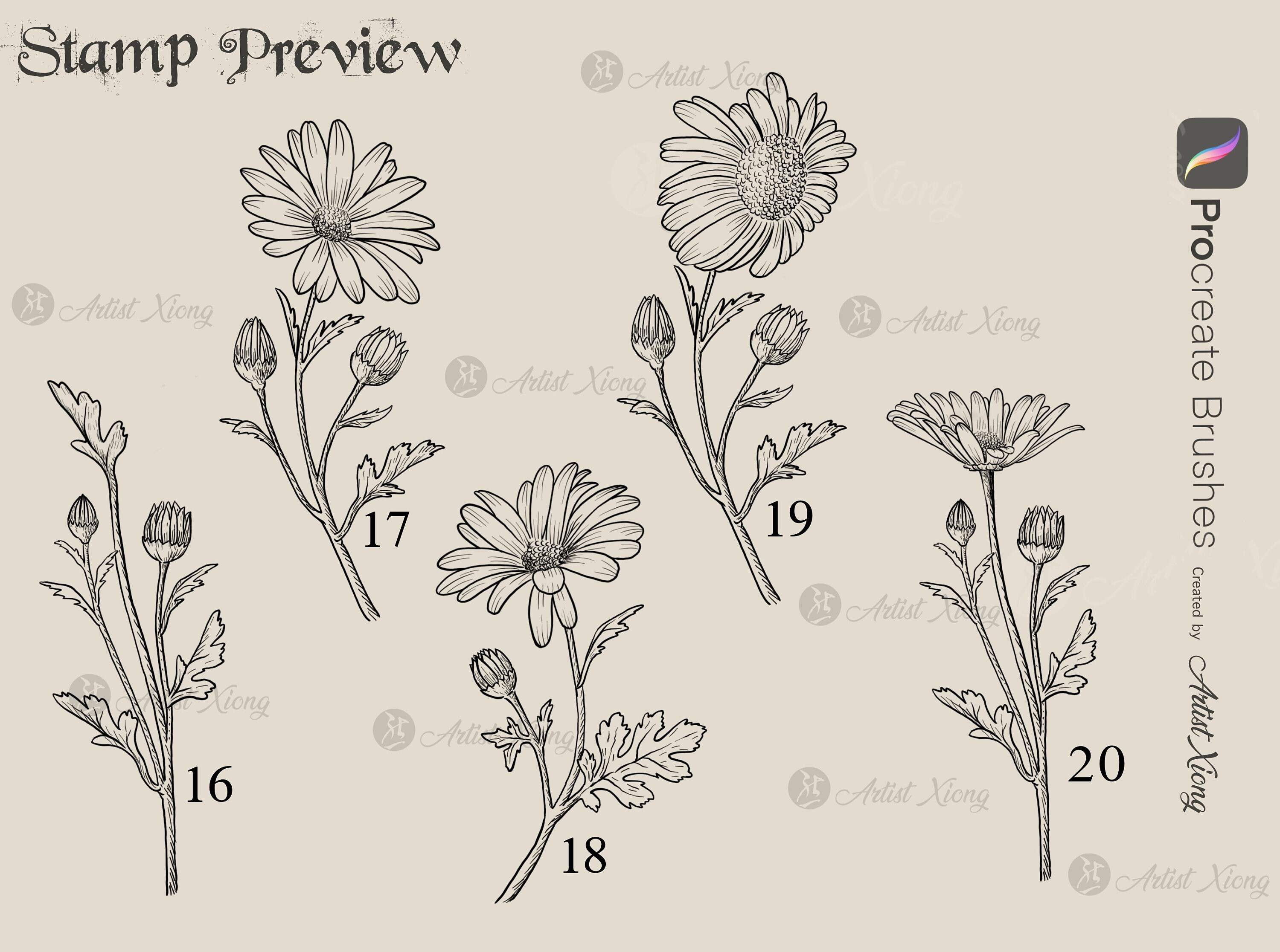 Realistic Daisy Stamp Brushes for Procreate - Etsy