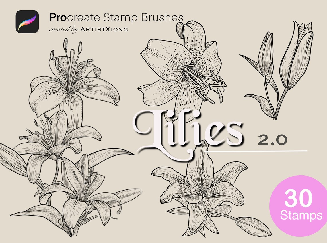 Realistic Lily Flower Stamp Brushes for Procreate - Etsy