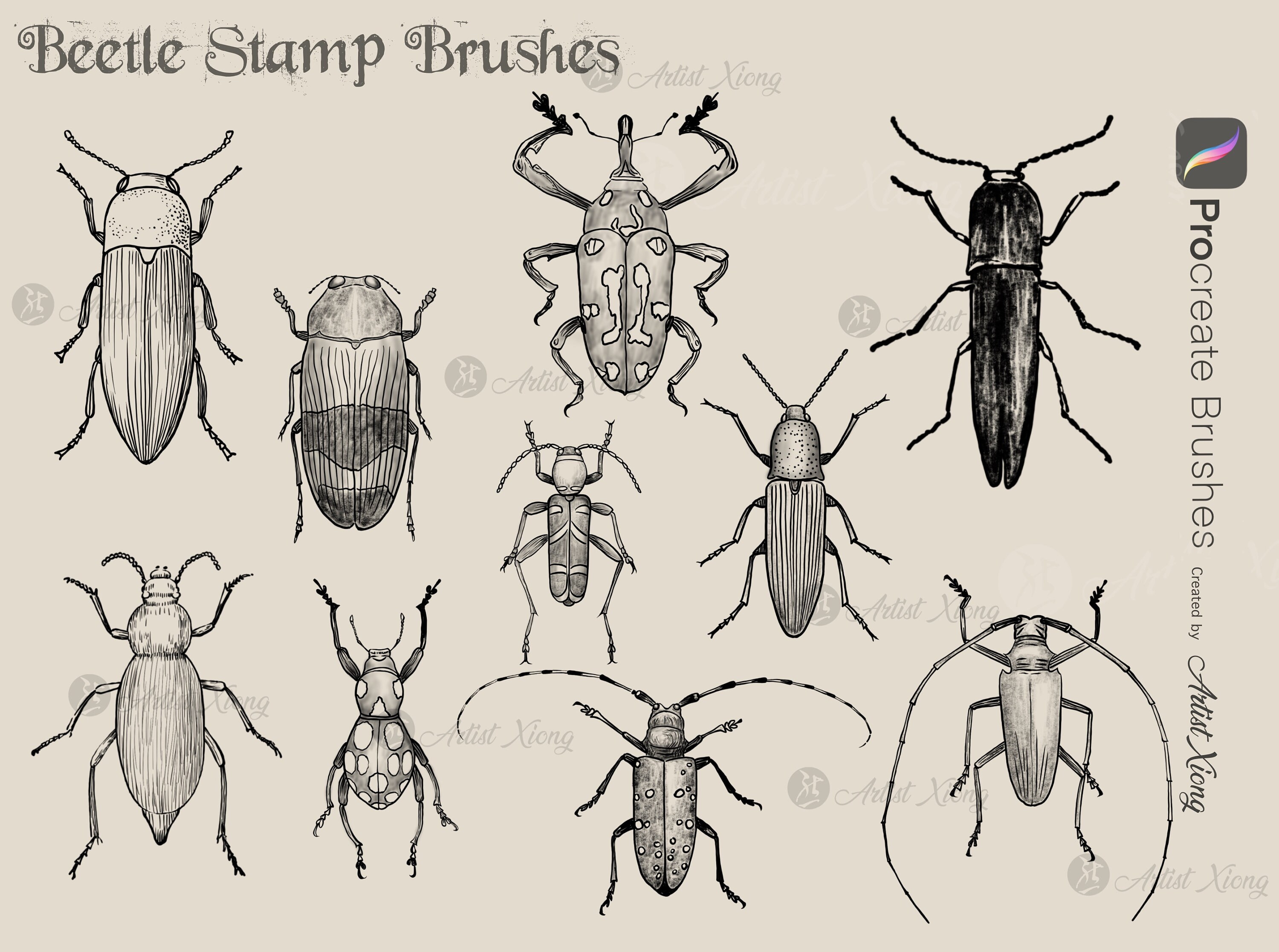 Beetle Stamp Brushes for Procreate - Etsy