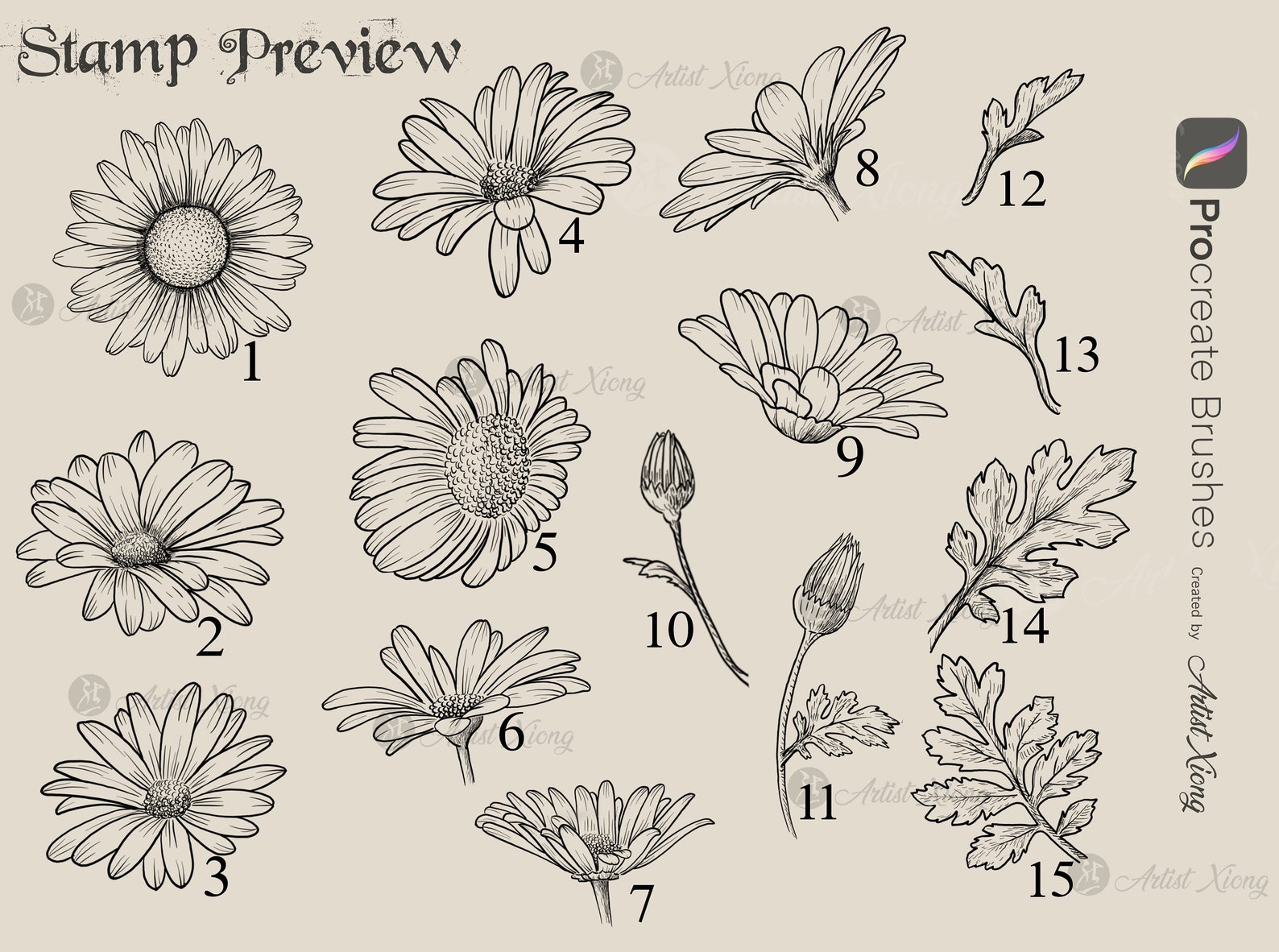 Realistic Daisy Stamp Brushes for Procreate - Etsy