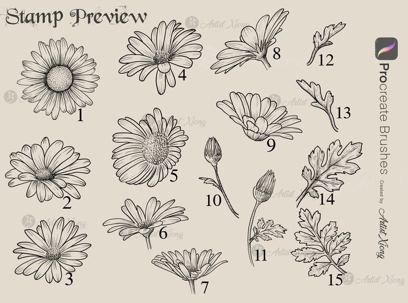 Realistic Daisy Stamp Brushes for Procreate - Etsy