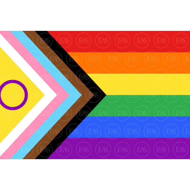 Progress Pride Flag Pin - Etsy