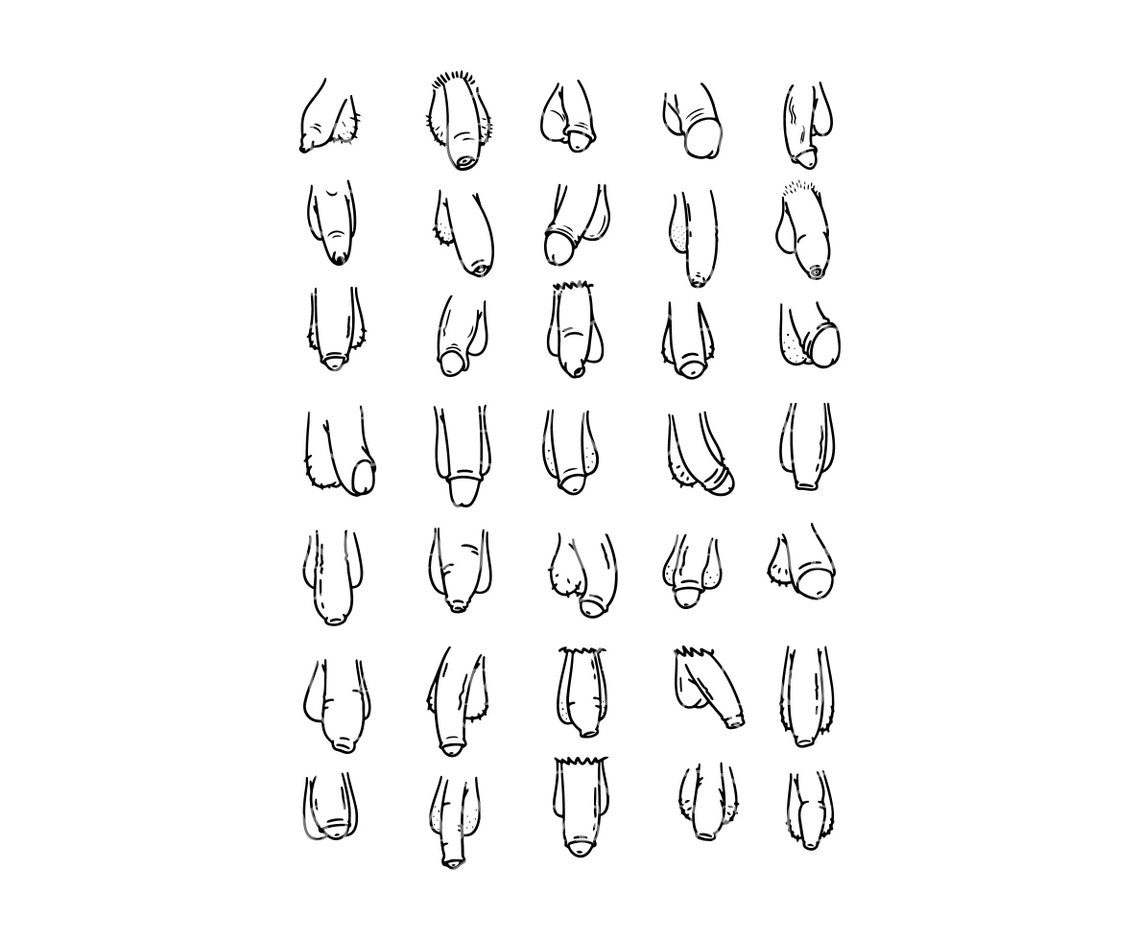 Doodle Penis Svg Bundle, Hand Drawn Penis Svg, Dicl, Cock, Erotic ...