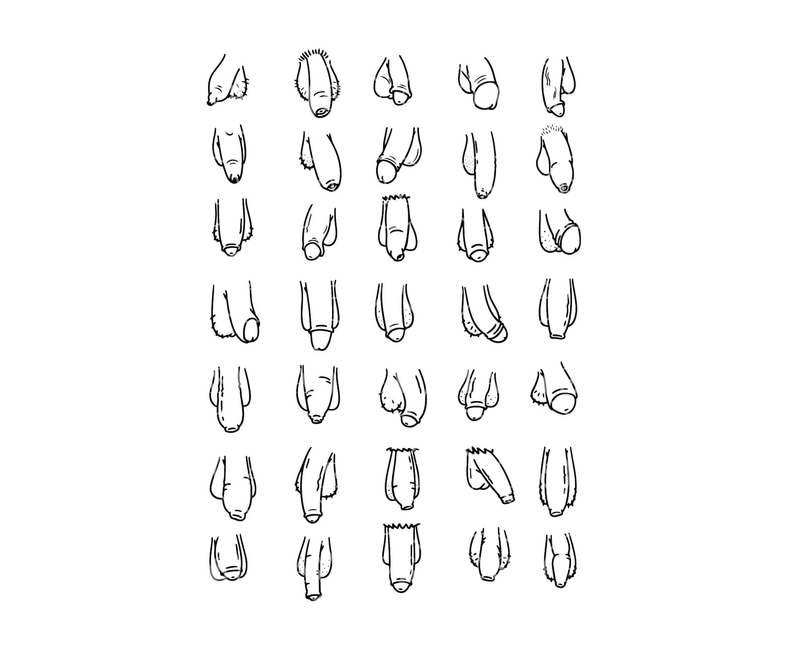 Doodle Penis Svg Bundle, Hand Drawn Penis Svg, Dicl, Cock, Erotic ...