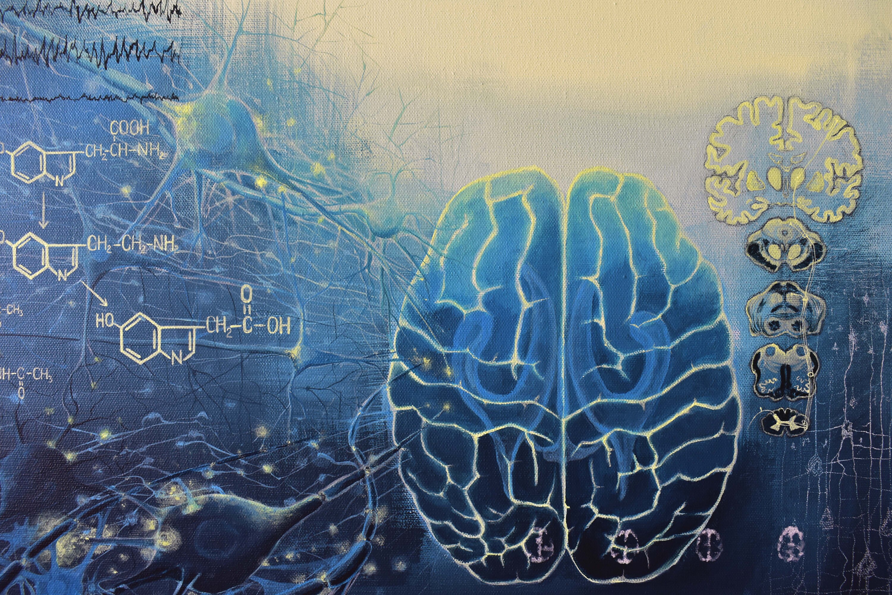 Neuroscience Wall Art Brain Art Neurons Gift for - Etsy
