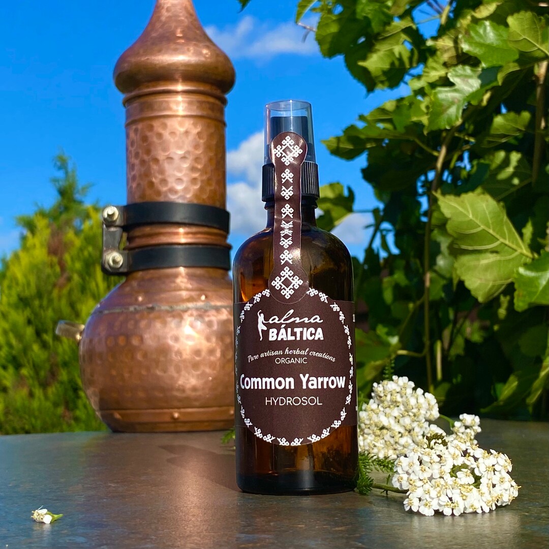 Yarrow Hydrosol, Face Toner, Facial Care, Flower Skin Toner, Yarrow ...