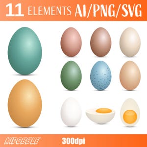 Chicken Egg Clipart | Cute Farm Illustrations | Hand-drawn Egg Art ...