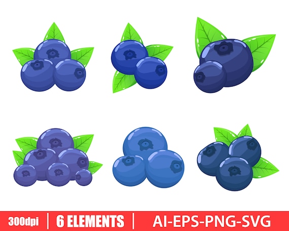 Blueberry Clipart Vector Design Illustration. Blueberry Set. | Etsy