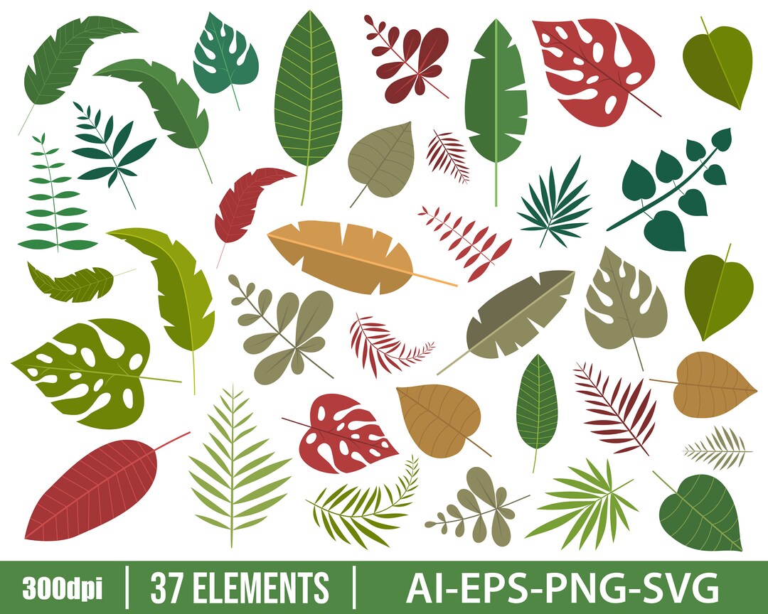 Tropical Leaves Clipart Vector Design Illustration. Tropical, Leaf ...