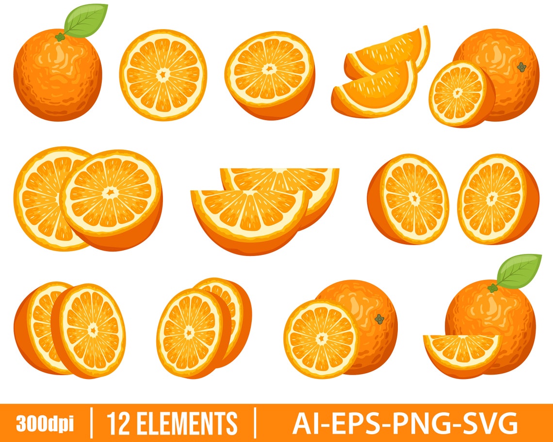 Delicious Orange Fruit Clipart Vector Design Illustration. - Etsy