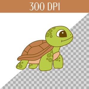Cute Turtle Set Digital Clipart Bundle Printable Art Design ...
