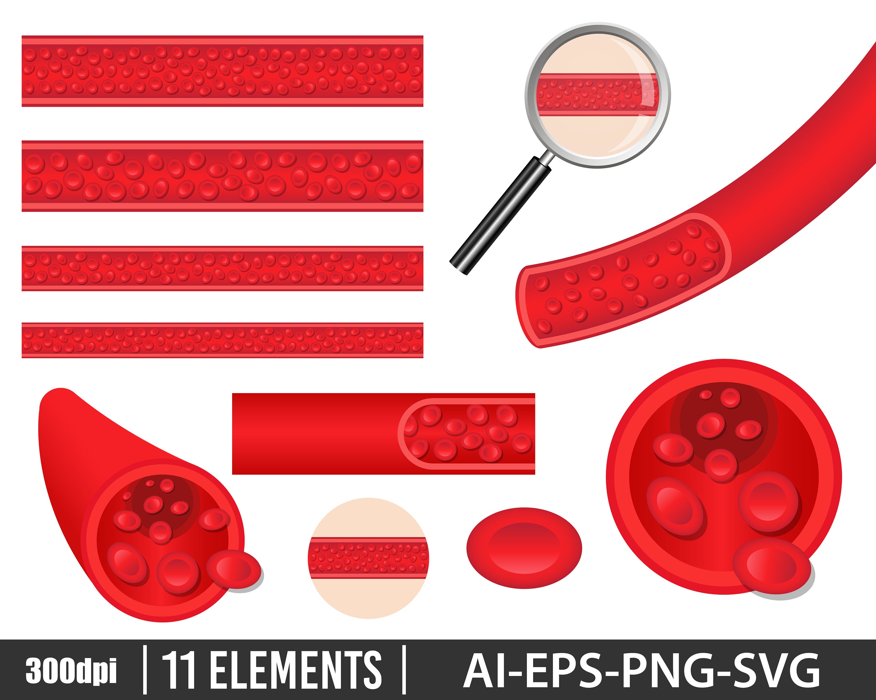 Blood Vessel Clipart Vector Design Illustration. Blood Vessel - Etsy UK